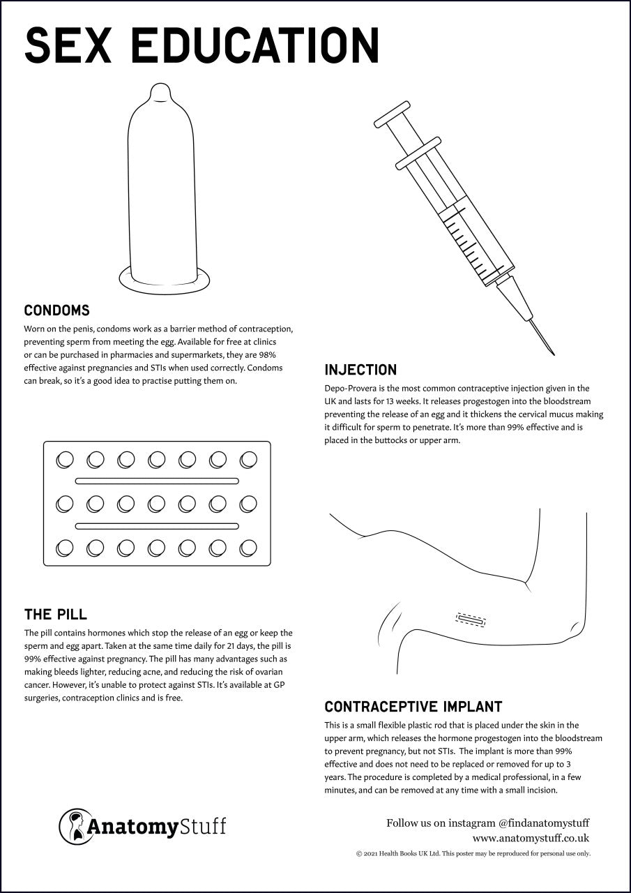 Sex Education Poster PDF – AnatomyStuff