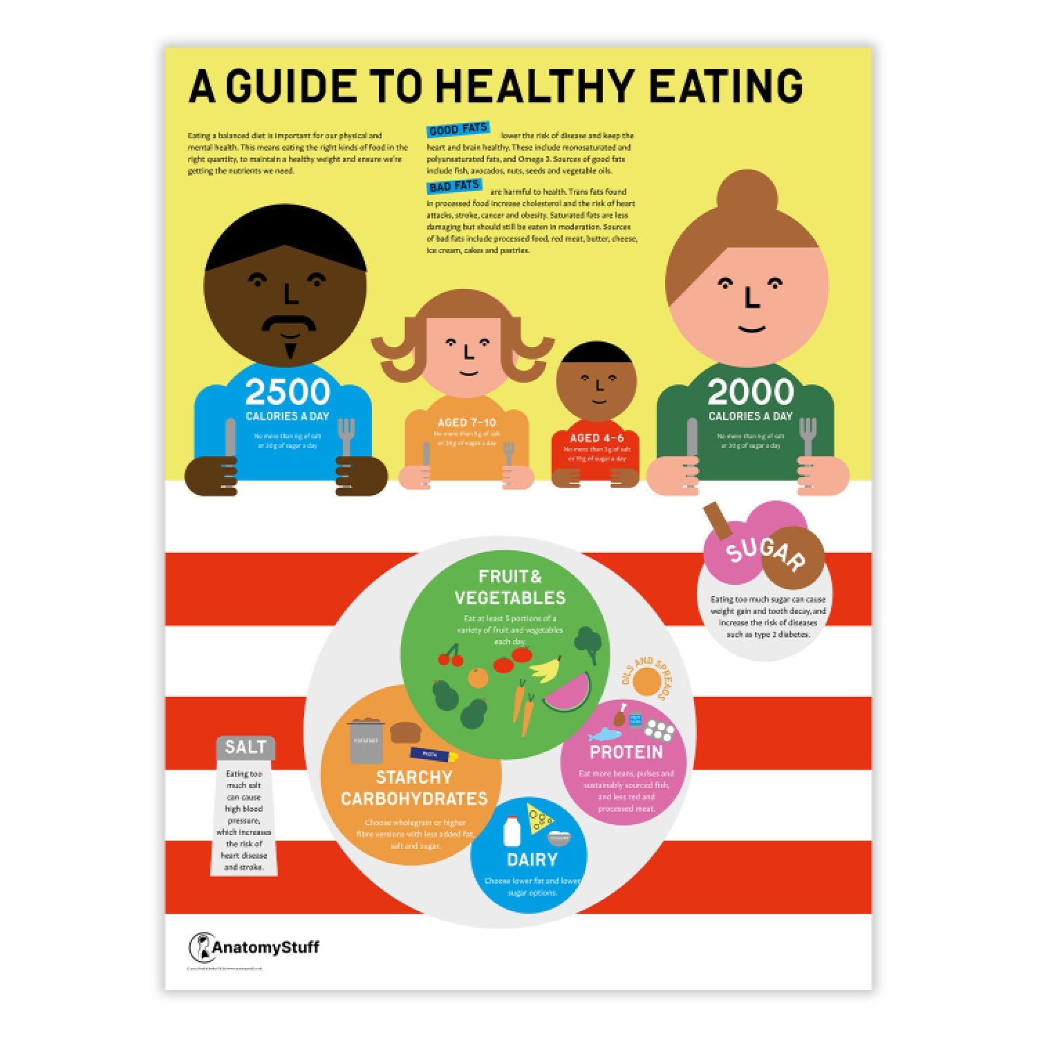 A Guide To Healthy Eating Poster | Eatwell Plate Guidelines – AnatomyStuff