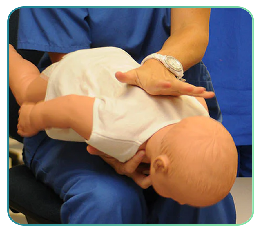 Choking Training Model | Choking Manikin | BLS Education – AnatomyStuff