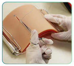 Suture Training Models & Simulators | Suture Kits – AnatomyStuff