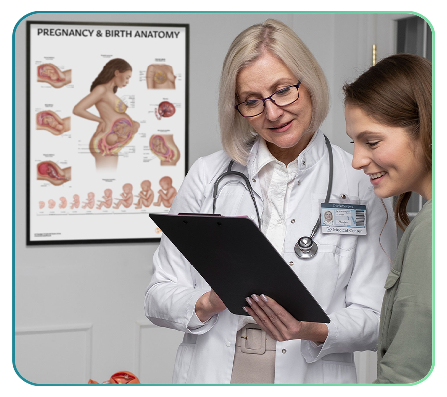 Pregnancy Posters | Foetal Development & Stages of Pregnancy – AnatomyStuff