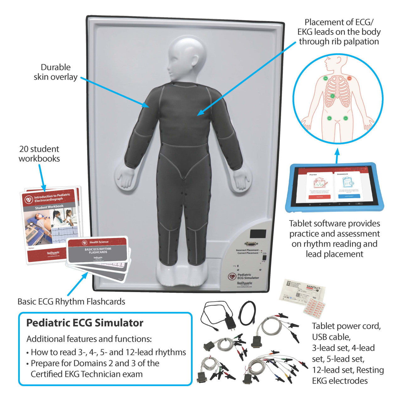 ECG Simulator for Clinical Skills Training | ALS Trainers – AnatomyStuff