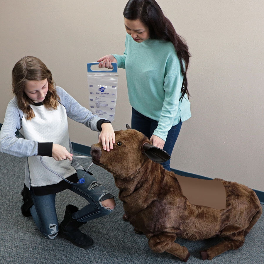 Farm Animal Simulators & Clinical Skills Training Models | Veterinary ...