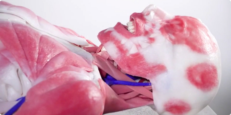 RealCare Baby Infant Simulator | Realityworks Exclusive UK Distributor ...