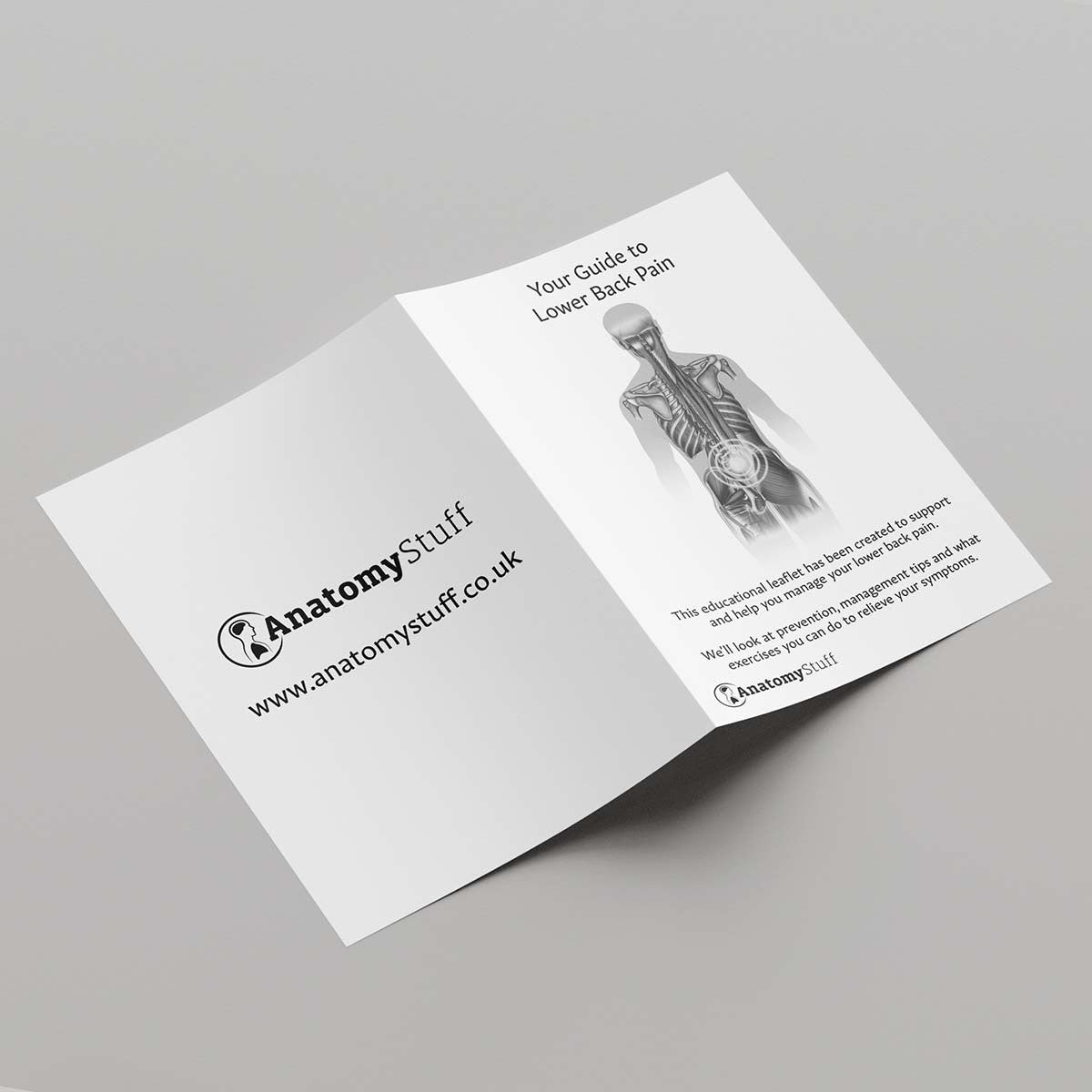 Your Guide To Lower Back Pain Leaflet (Printable PDF) | Patient ...