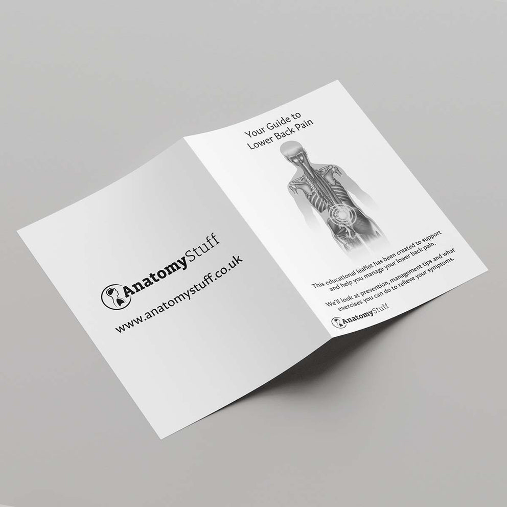Your Guide To Lower Back Pain Leaflet (Printable PDF) | Patient ...