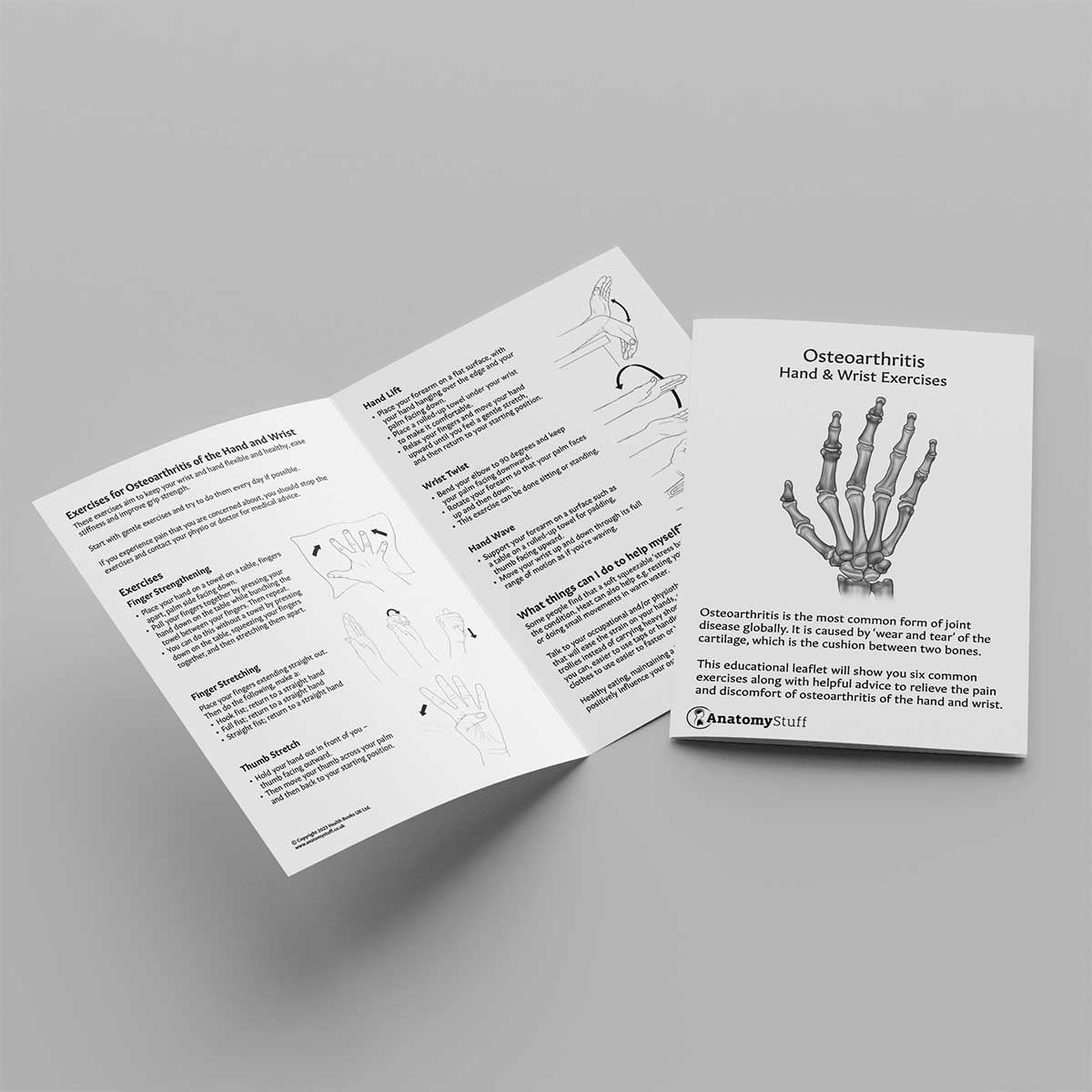Hand & Wrist Osteoarthritis Exercises Leaflet (Printable PDF ...