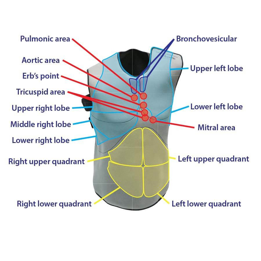 Auscultation Training Models | Chest and Heart Sounds Simulators ...