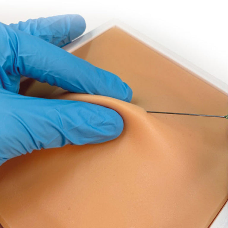 Feline Simulators and Clinical Skills Training Models | Veterinary ...