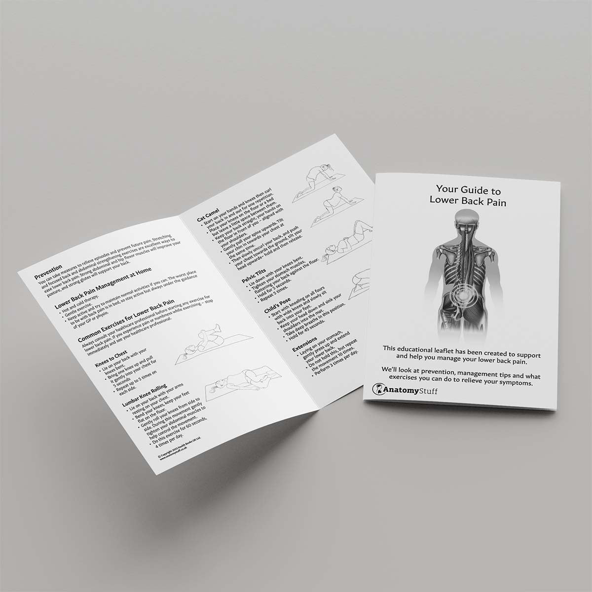 Your Guide To Lower Back Pain Leaflet (Printable PDF) | Patient ...