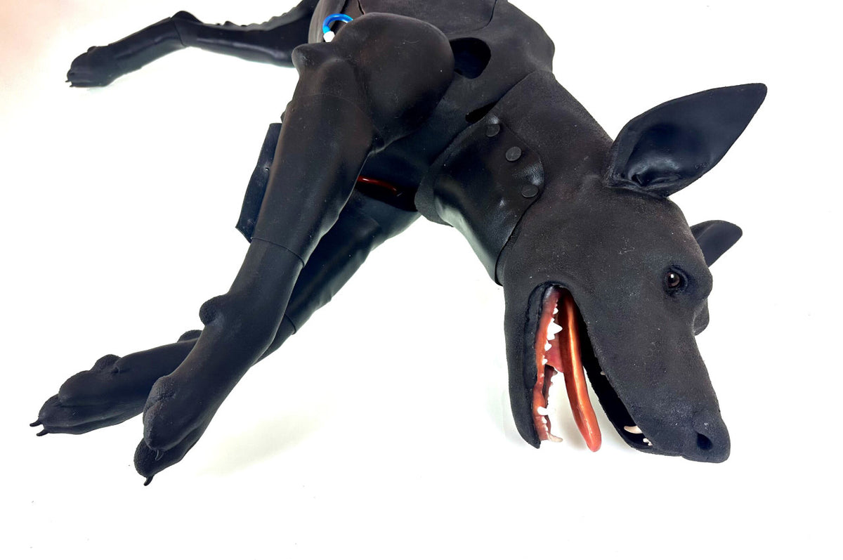 SynDaver Modular Canine | 126051-3 AnatomyStuff