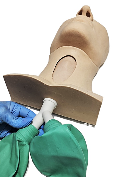 Intubation Trainers | Airway Management Heads – AnatomyStuff