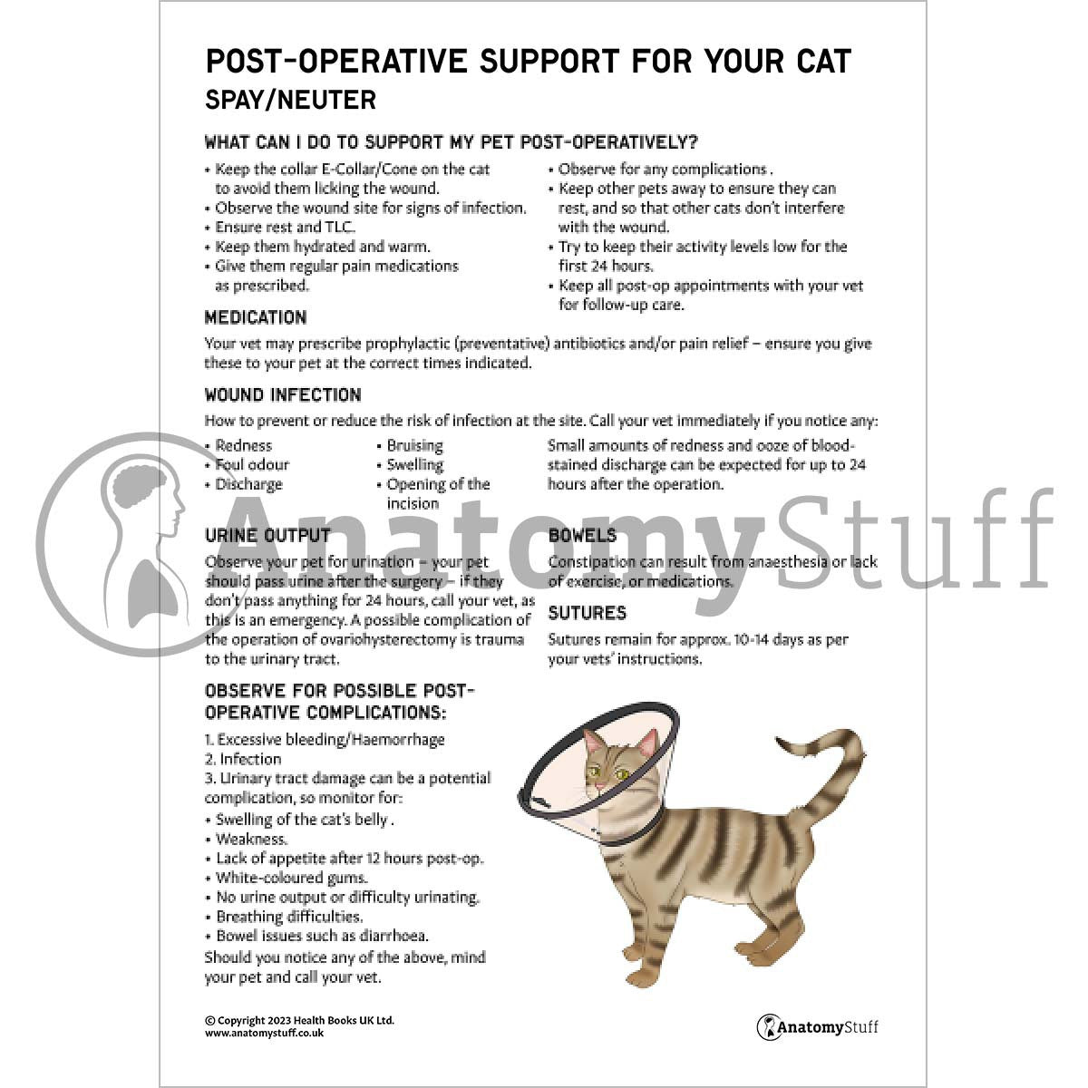 Post-Operative Support for Your Cat (printable PDF) | AnatomyStuff