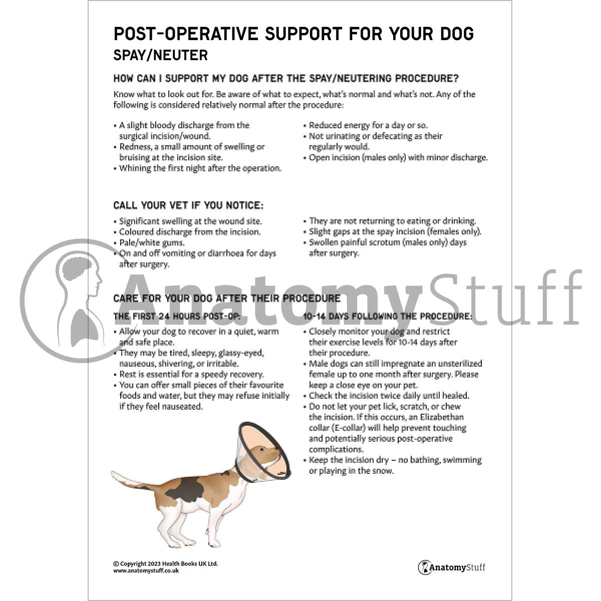 Post-Operative Support for Your Dog (Printable PDF) | Canine Health ...