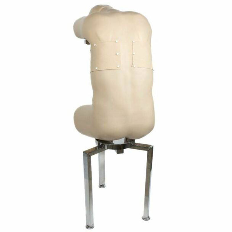 Adult Thoracentesis Simulator | Thoracentesis Training Model – AnatomyStuff