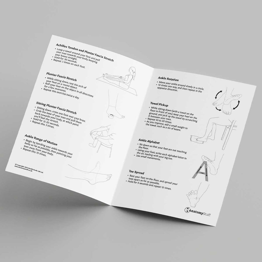Foot & Ankle Osteoarthritis Exercises Leaflet (Printable PDF ...