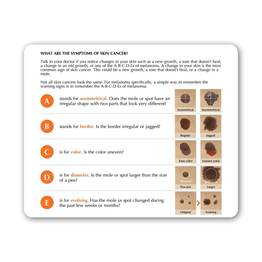Skin Cancer Model | Dermatology Pathology Chart Model | AnatomyStuff