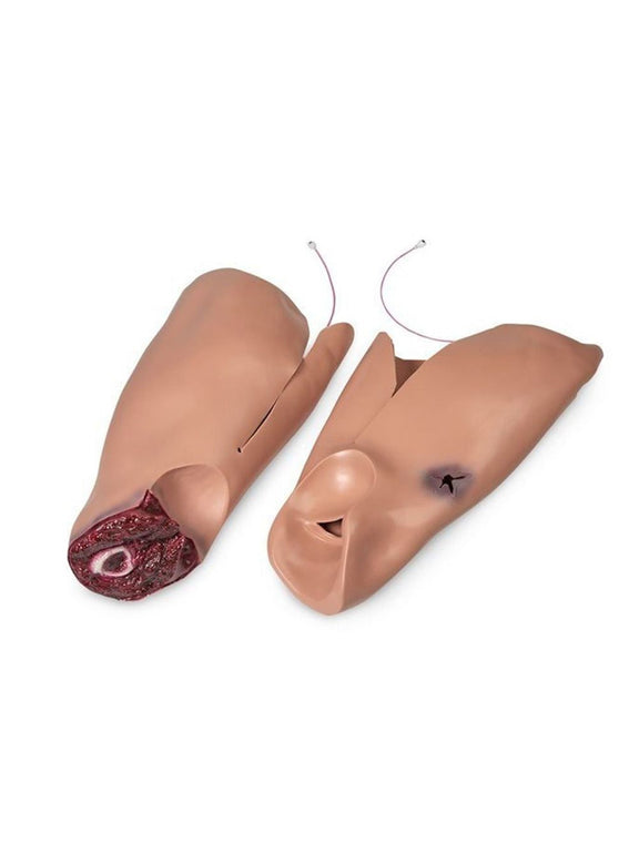Rescue Manikins | Simulaids Rescue Randy Dummies – AnatomyStuff