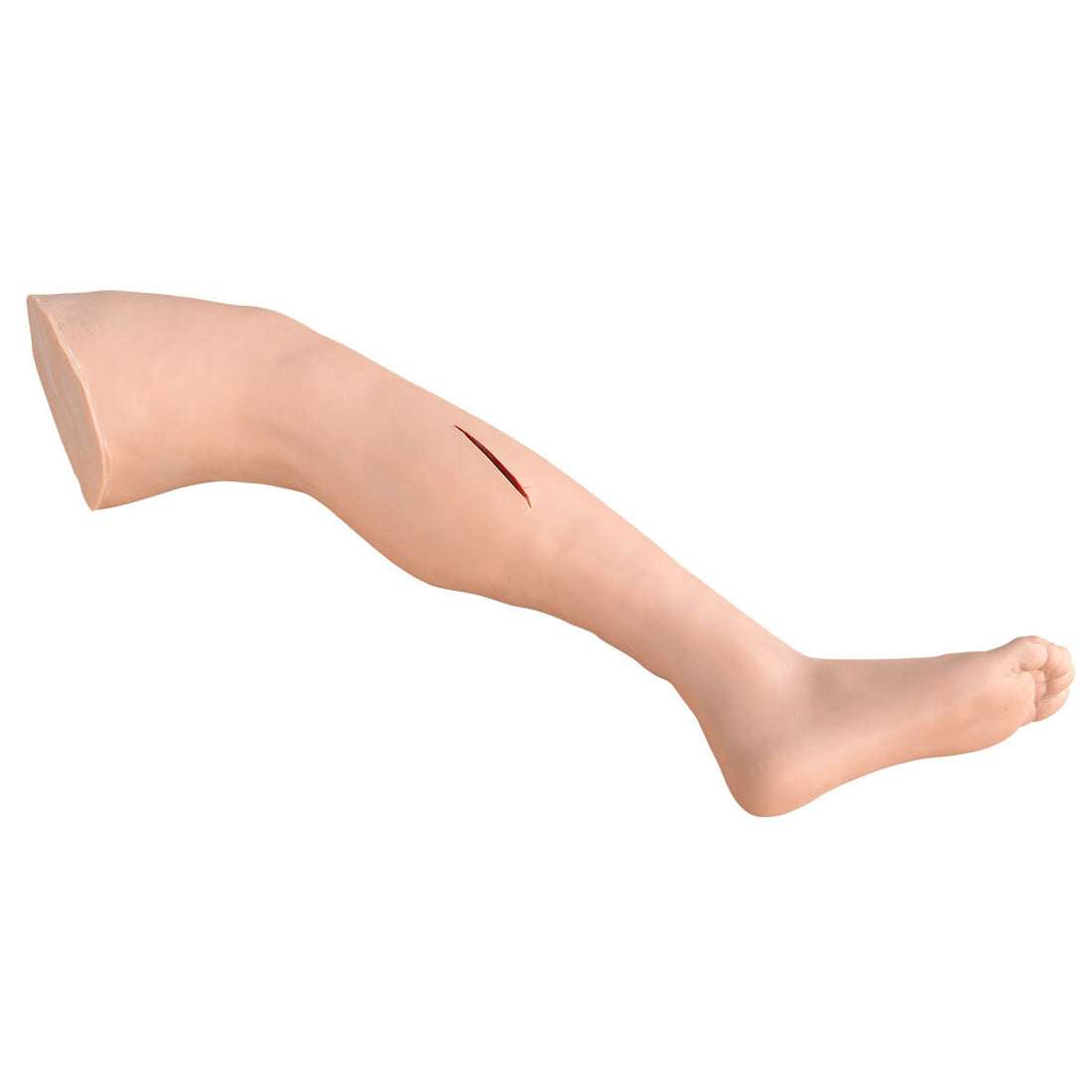 Suture Training Models & Simulators | Suture Kits – AnatomyStuff