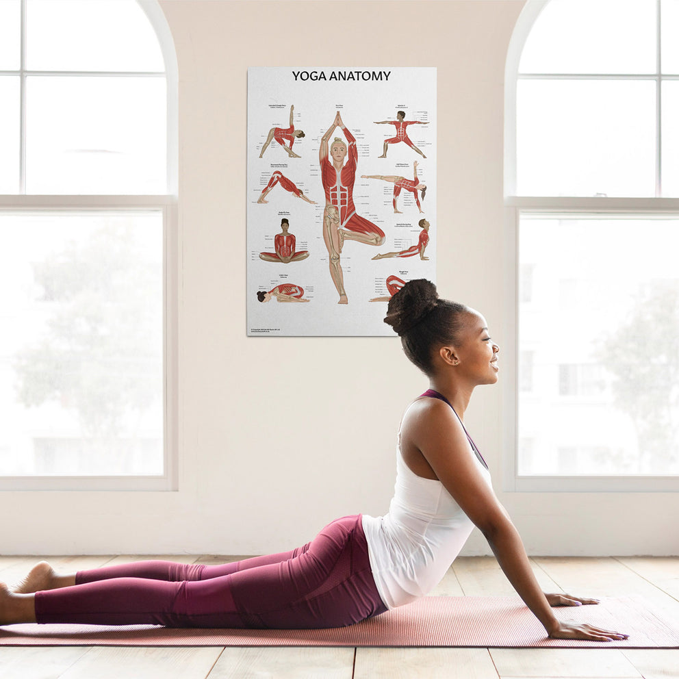 Yoga Anatomy Poster | Anatomical Yoga Chart | Anatomy of Yoga ...