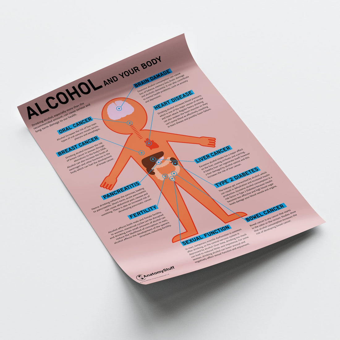 "Alcohol and Your Body" Drink Awareness Poster | Alcohol Chart ...