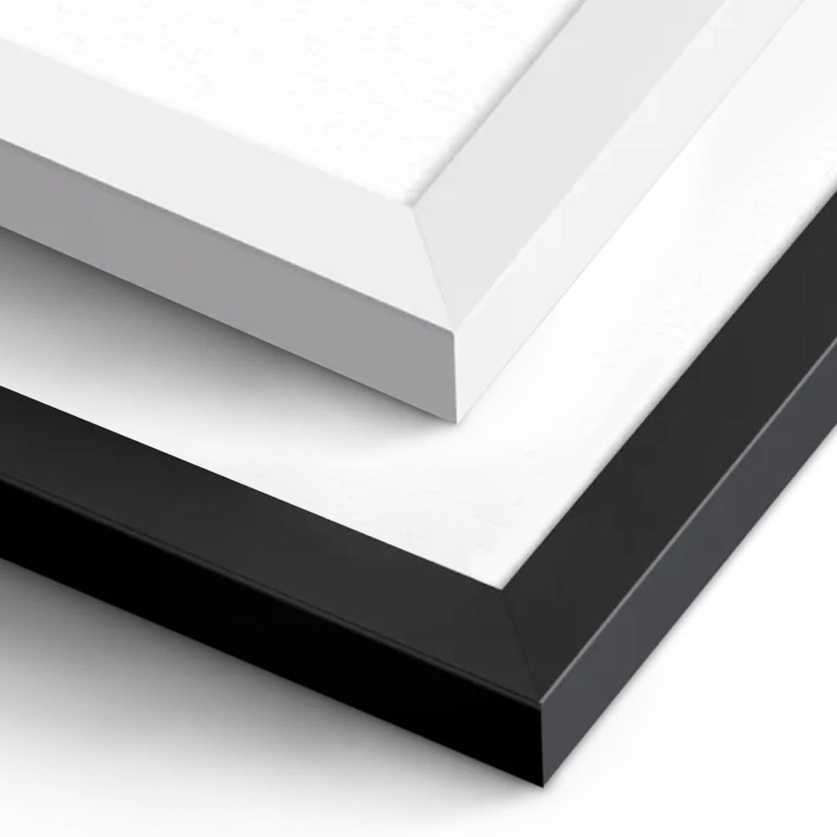 Anatomical Charts | Anatomy Posters – AnatomyStuff