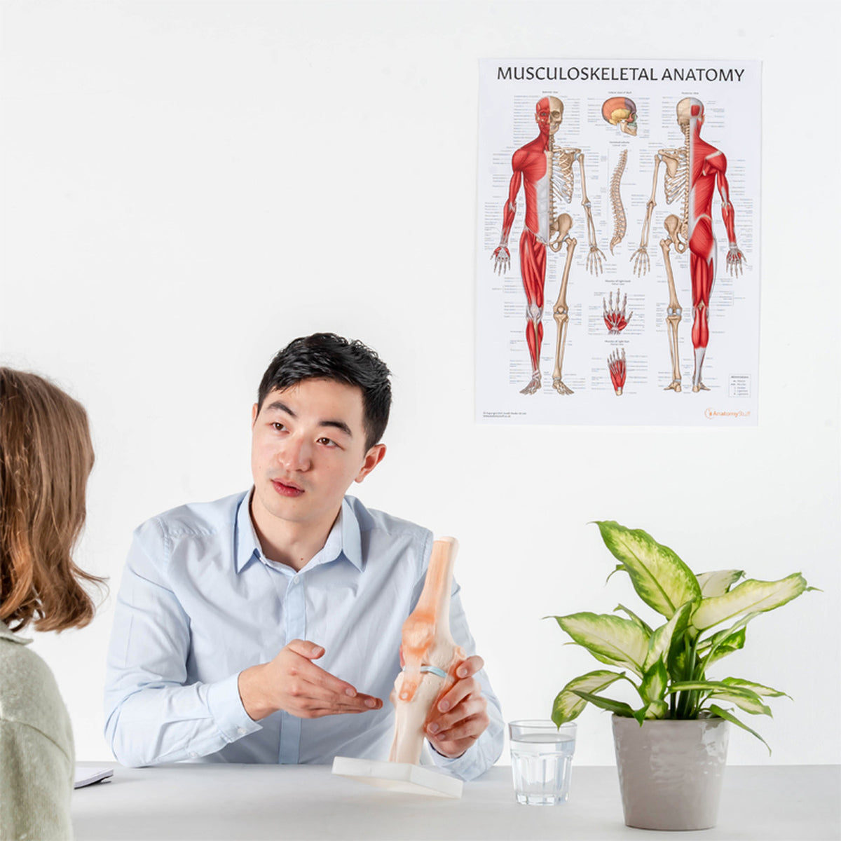 Human and Veterinary Anatomical Models | Shop Online – AnatomyStuff
