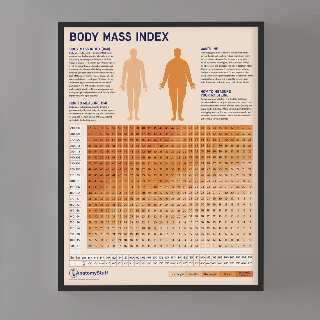 Healthy Eating & Nutrition Posters – AnatomyStuff