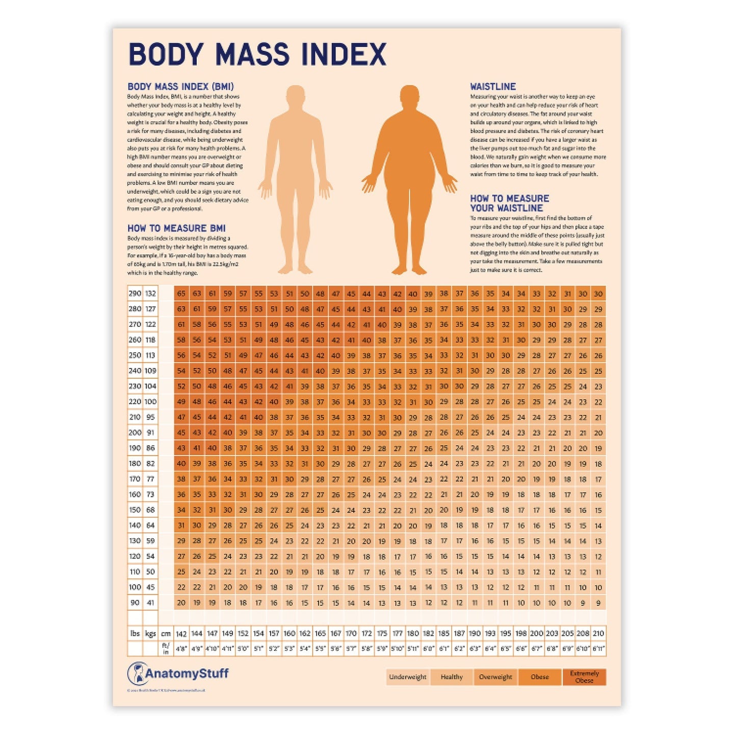Body Mass Index Poster | BMI Education Chart – AnatomyStuff
