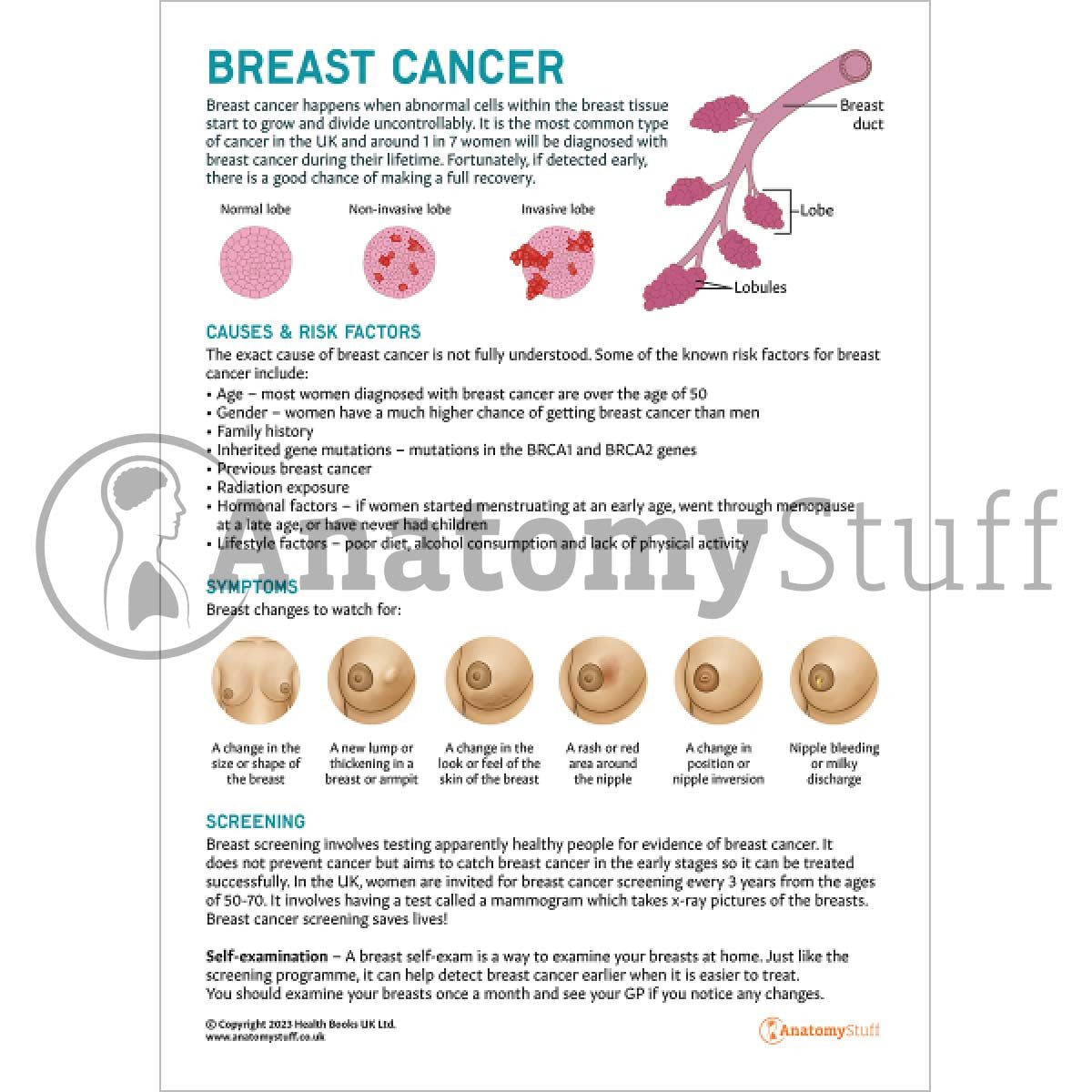 Breast Cancer Patient Education Printout | AnatomyStuff