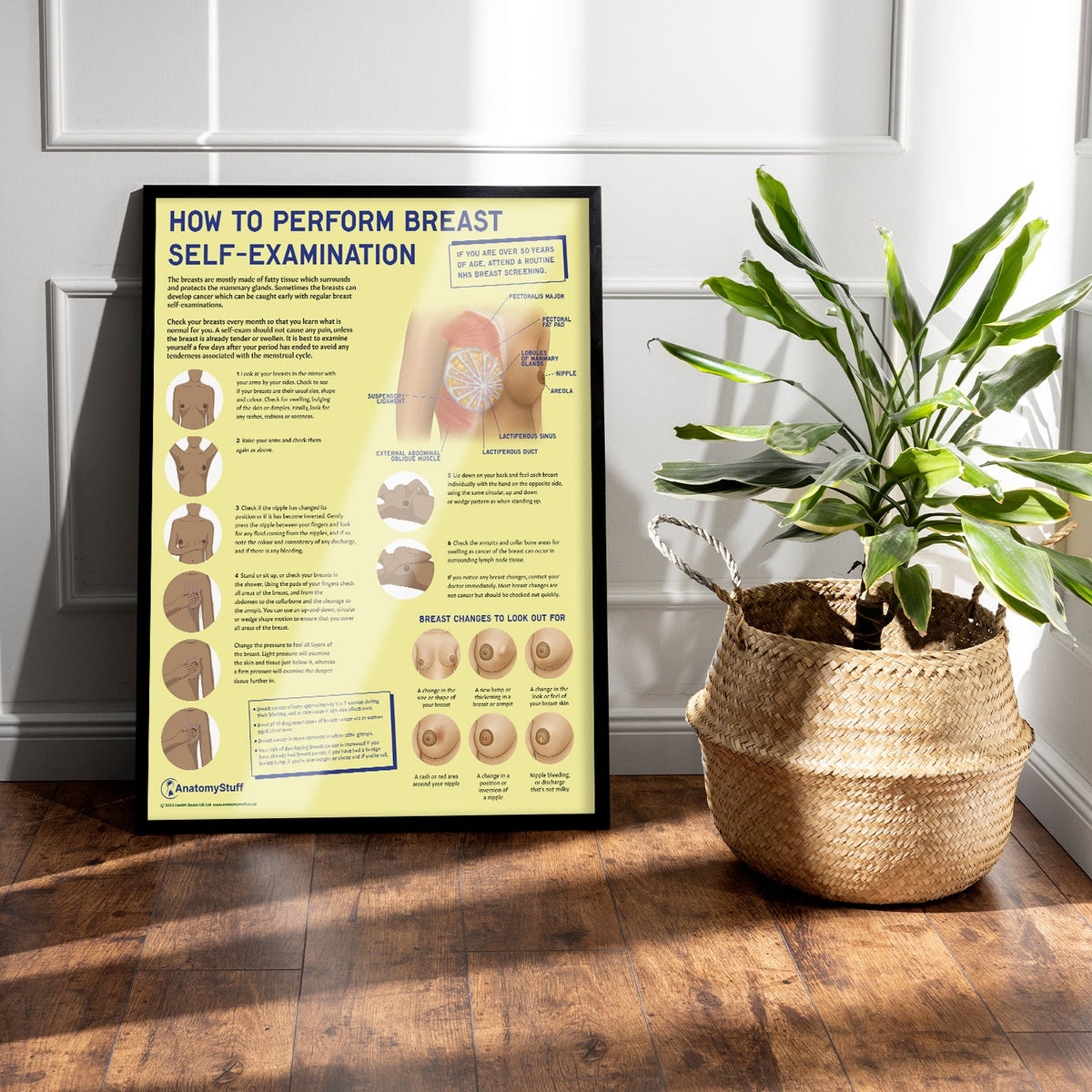 Breast Self Examination Poster | BSE Chart Cancer Education – AnatomyStuff