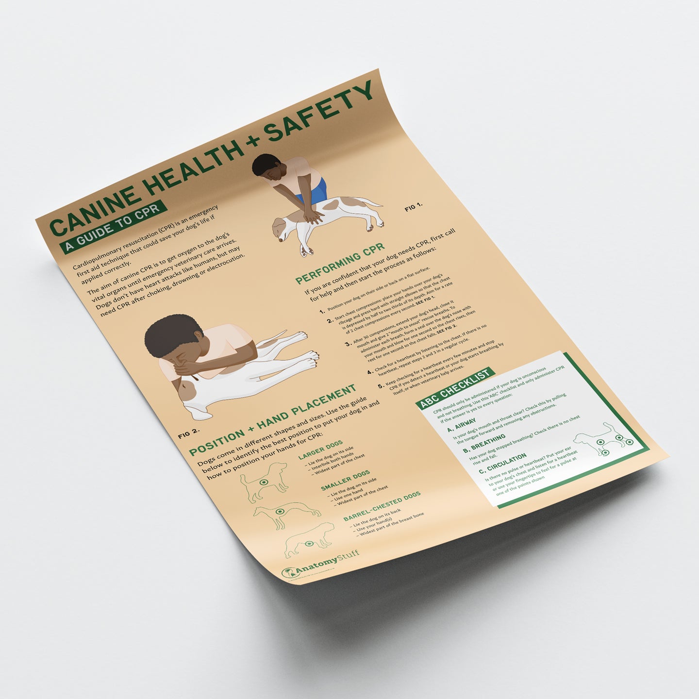 Canine Health & Safety: A Guide to CPR for Dogs | AnatomyStuff