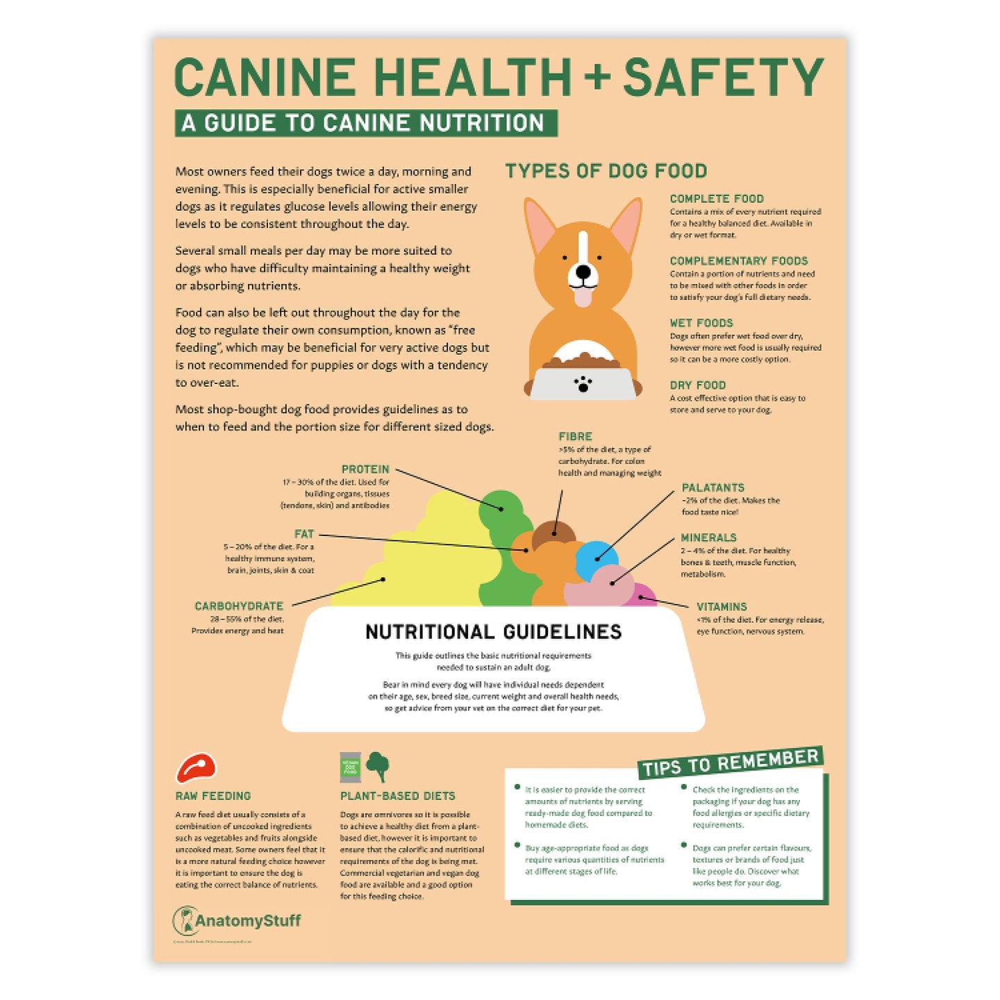 A Guide to Canine Nutrition Poster | Health Diet for Dogs – AnatomyStuff