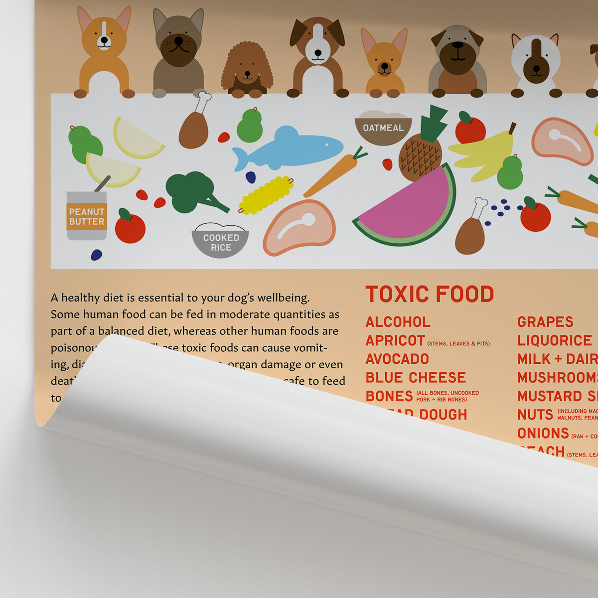 Canine Health & Safety: Toxic and Safe Foods Poster | CHSTSF | AnatomyStuff