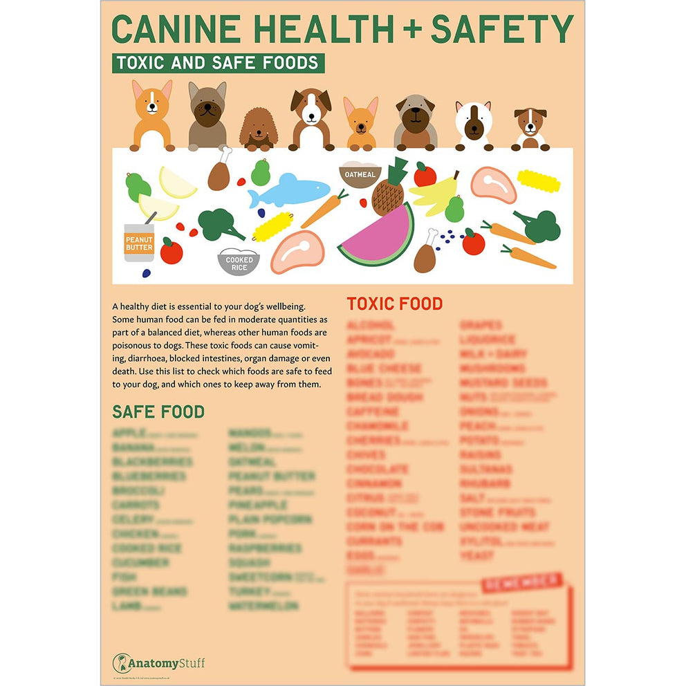 Canine Health & Safety 4 Poster Collection | Dog Education Charts ...