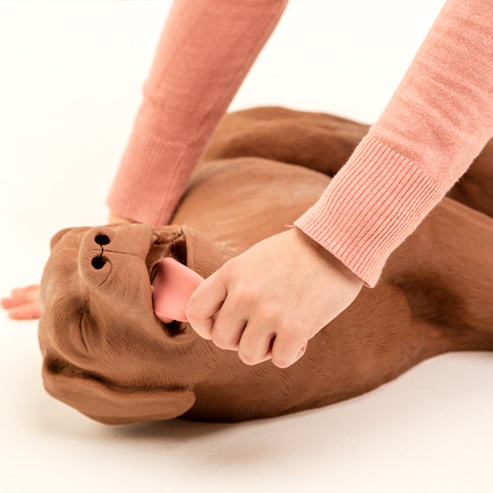 Resources for Vets – AnatomyStuff