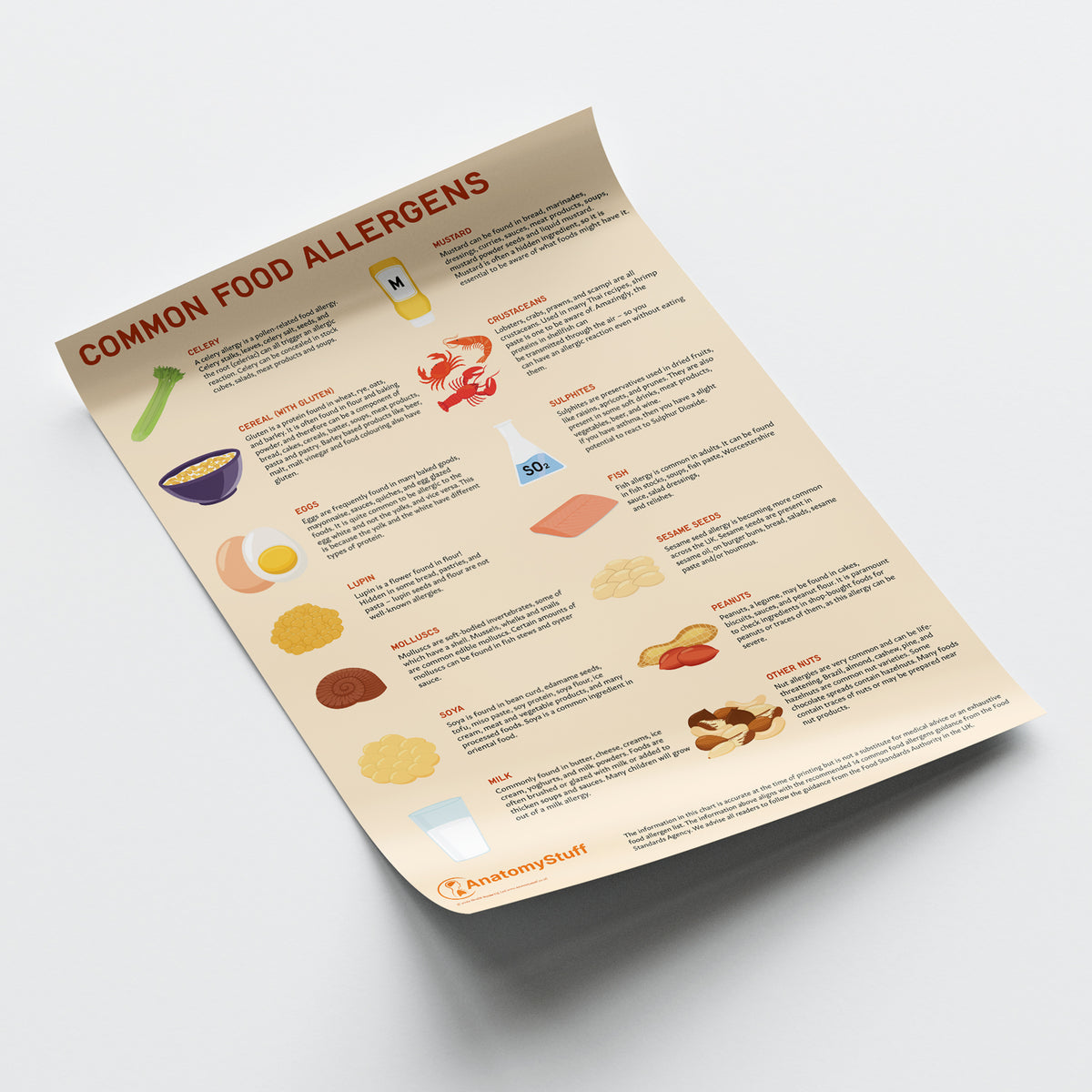 Common Food Allergens Poster | Food Allergy Awareness Chart – AnatomyStuff