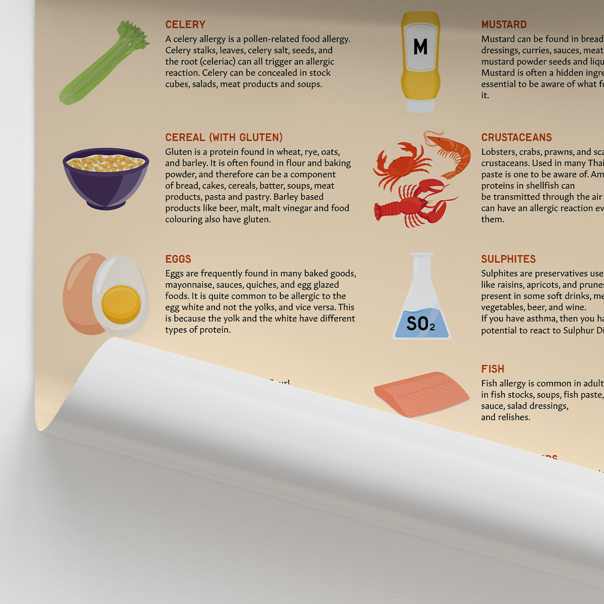 Common Food Allergens Poster | Food Allergy Awareness Chart – AnatomyStuff