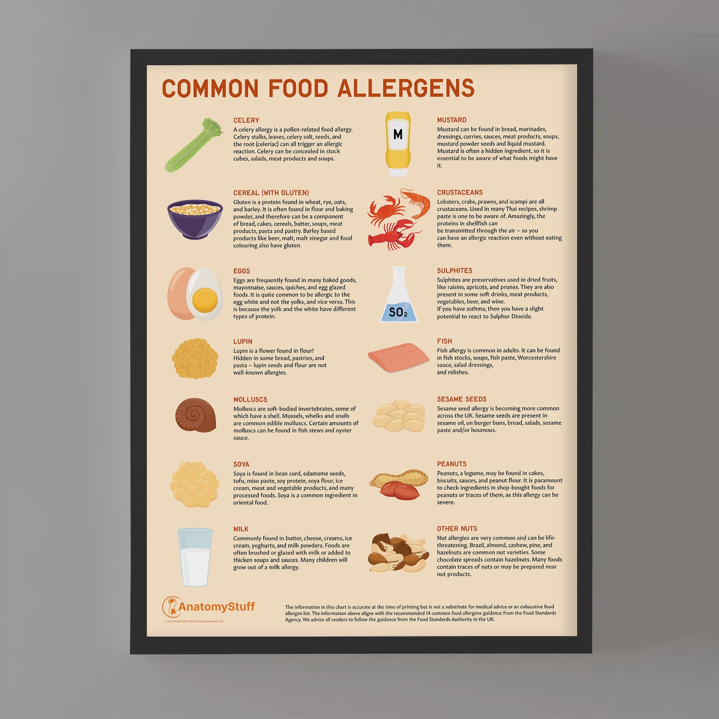 Common Food Allergens Poster | Food Allergy Awareness Chart – AnatomyStuff