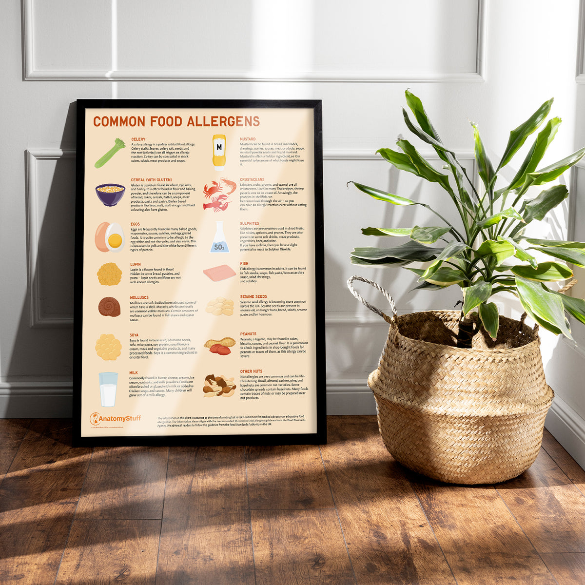 Common Food Allergens Poster | Food Allergy Awareness Chart – AnatomyStuff