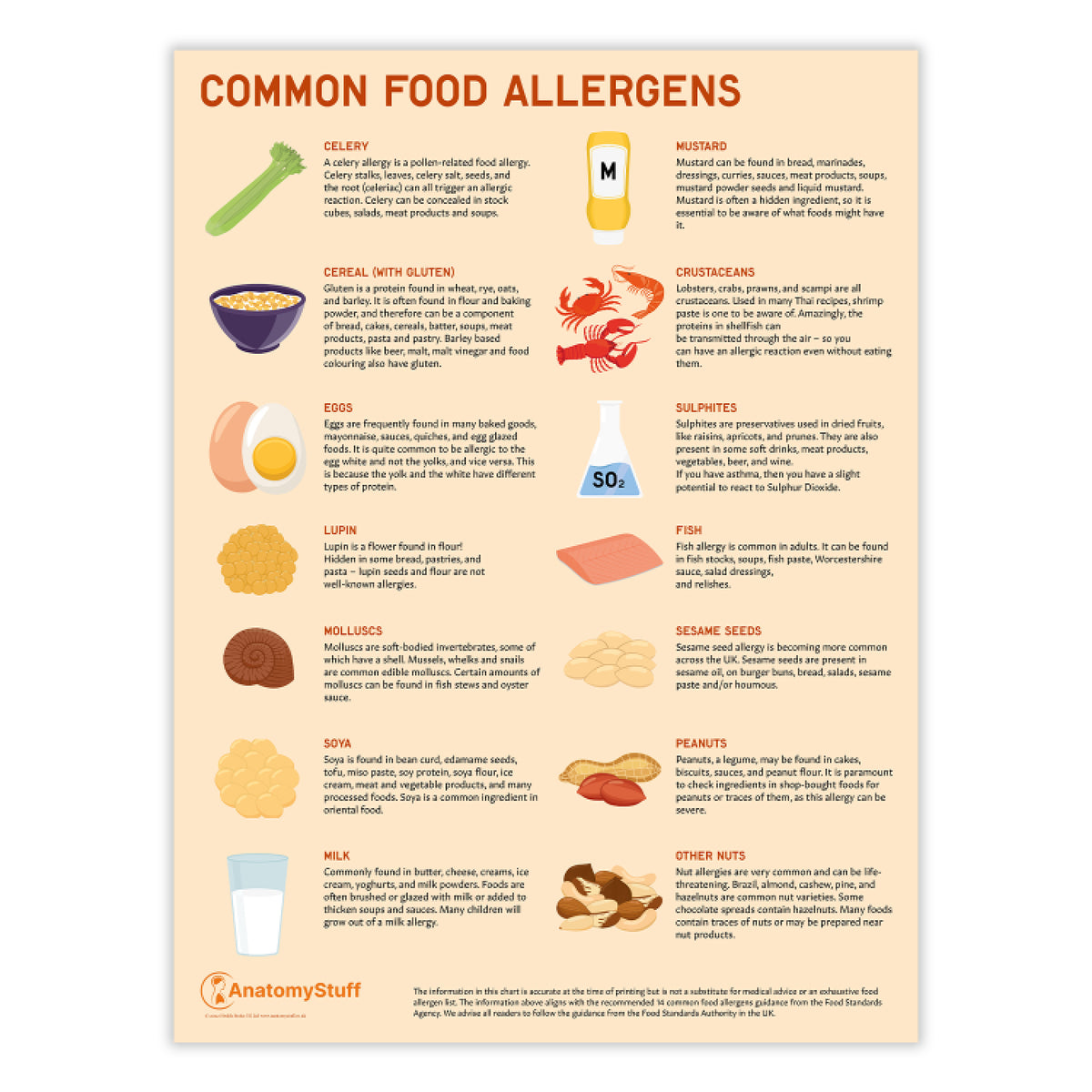 Common Food Allergens Poster | Food Allergy Awareness Chart – AnatomyStuff