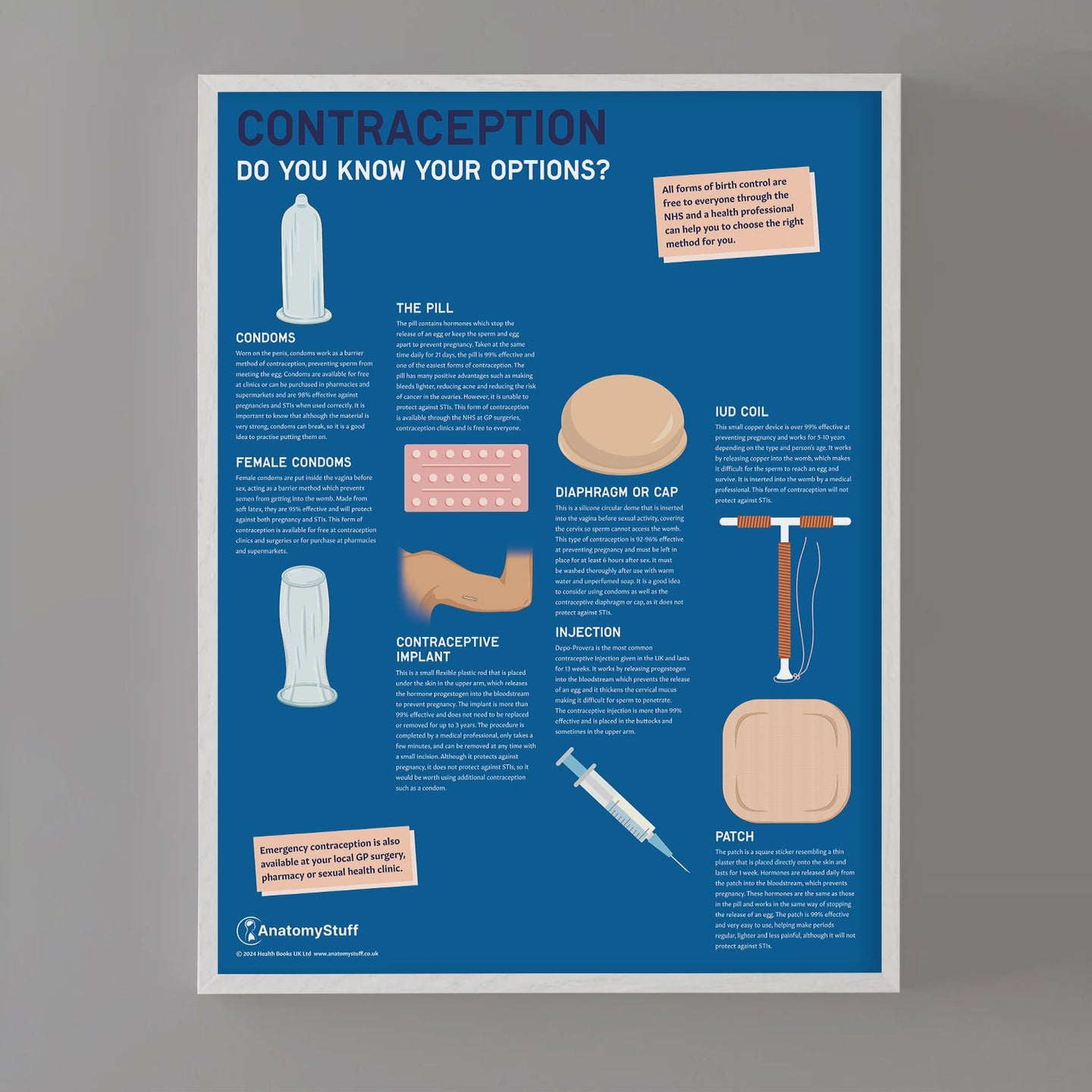 Contraception: Do you know your options? Poster | PSHE School Education ...