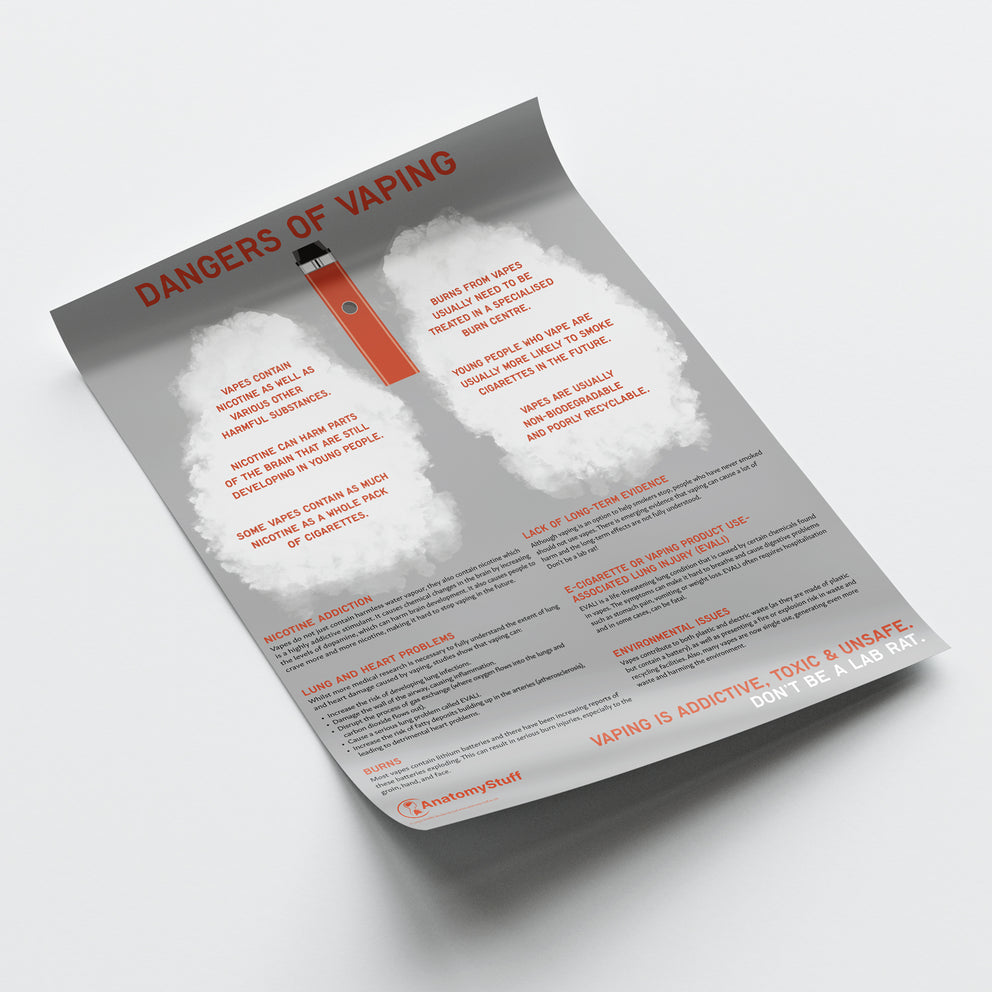 Dangers of Vaping Poster | Chart – AnatomyStuff