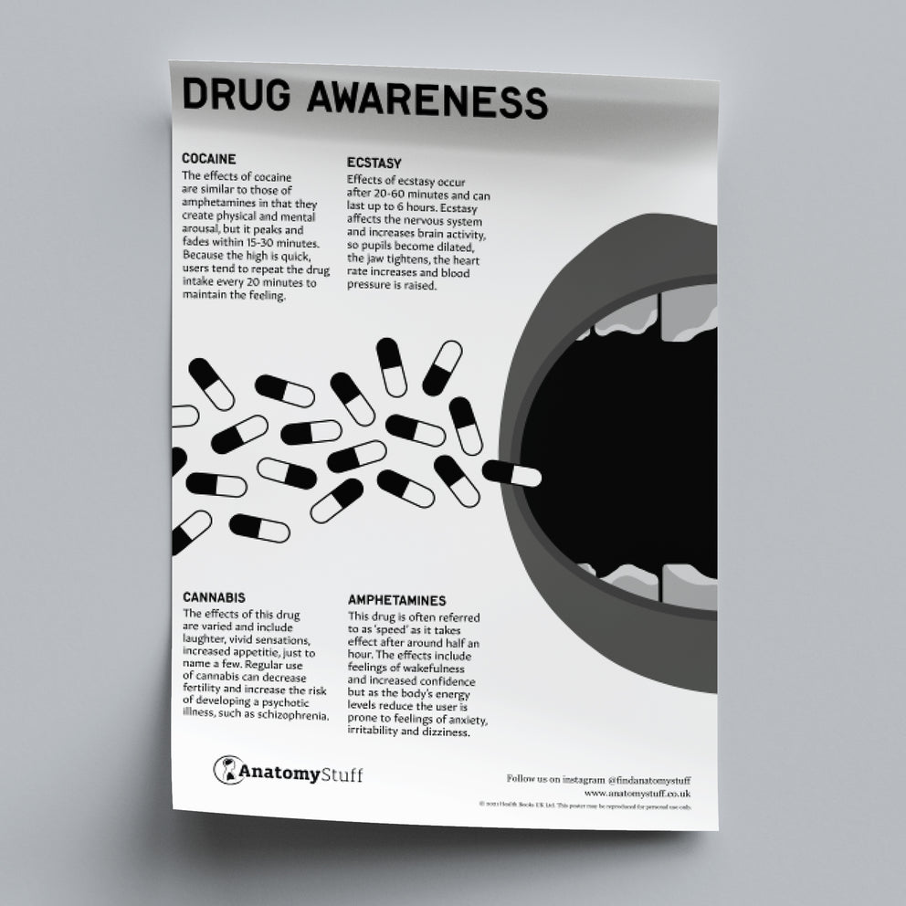 Drug Awareness Poster PDF | AnatomyStuff