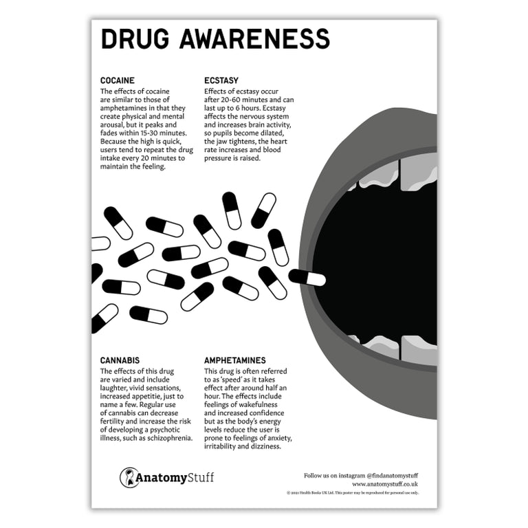 Drug Awareness Poster PDF | AnatomyStuff