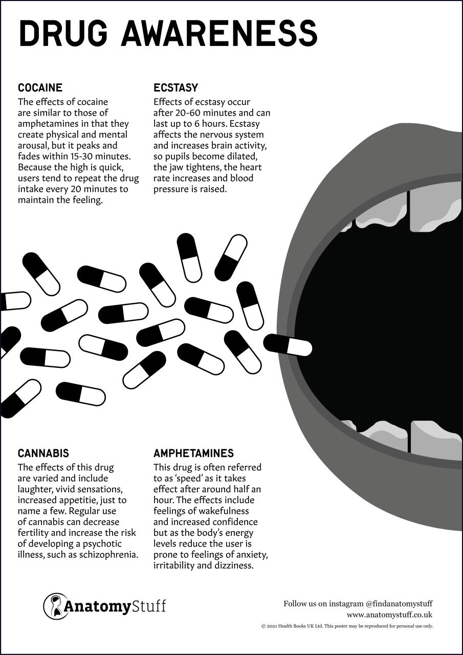Drug Awareness Poster PDF – AnatomyStuff