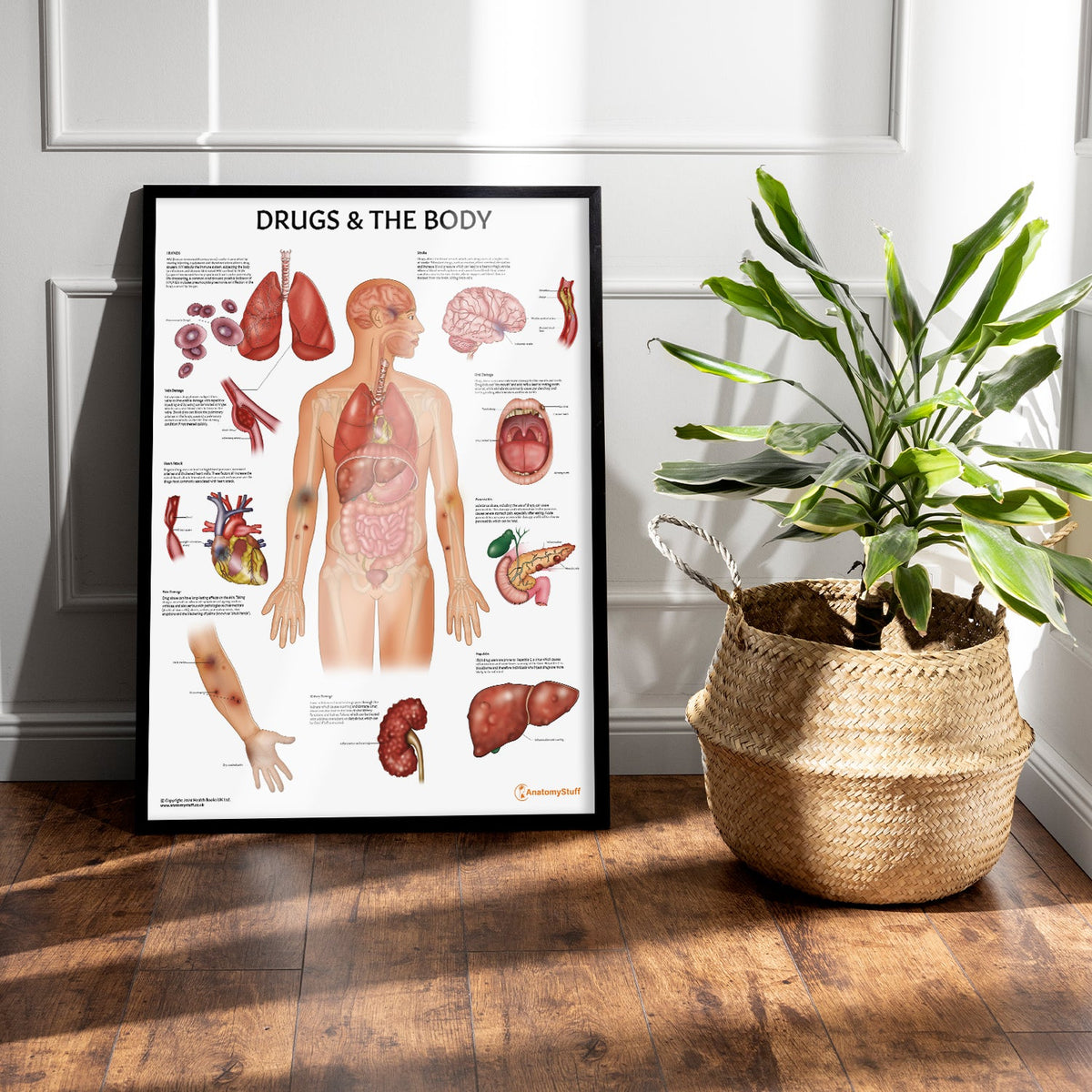 Drugs and The Body Poster | Drug Education Addiction Aware – AnatomyStuff