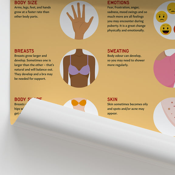 Female Puberty Poster | PSHE School Education Chart – AnatomyStuff