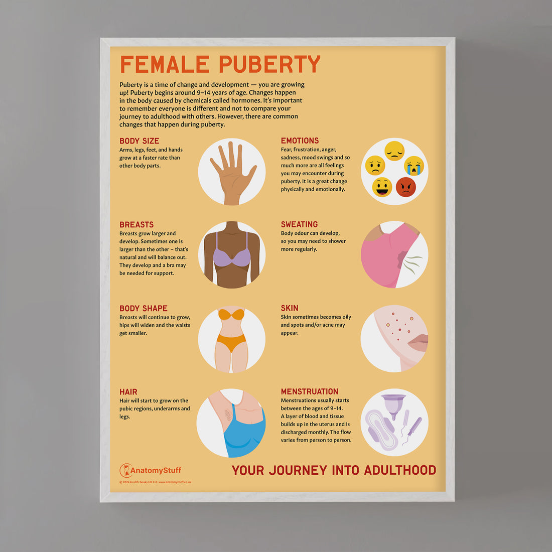 Female Puberty Poster | PSHE School Education Chart – AnatomyStuff