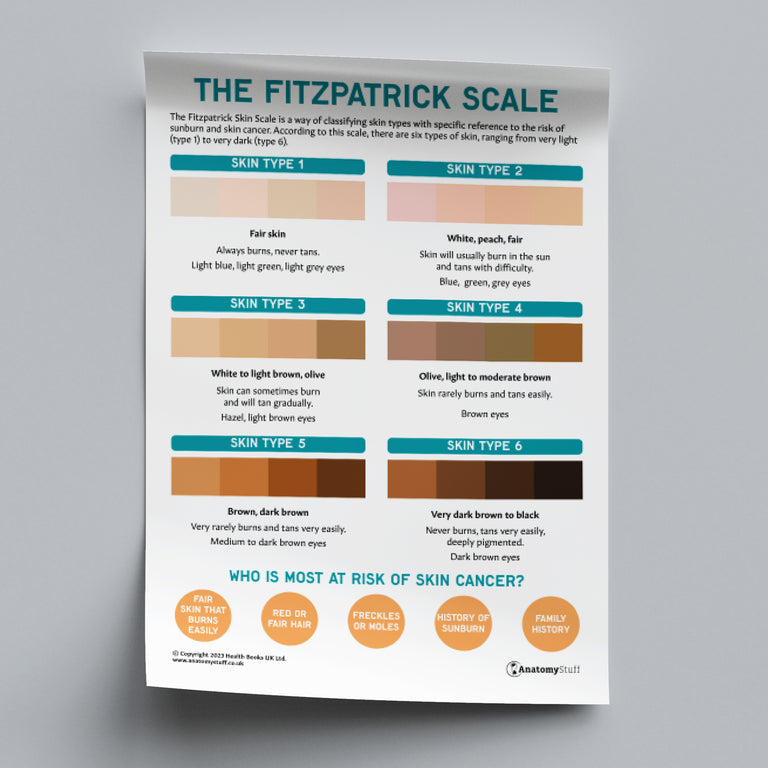 The Fitzpatrick Skin Cancer Scale (Printable PDF) | Cancer Awareness ...